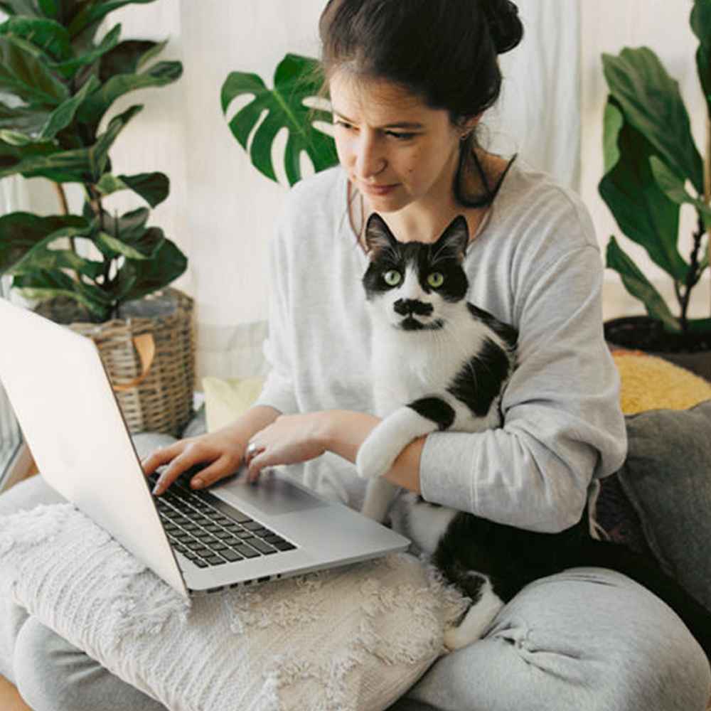 National Take Your Cat to Work Day | June 17