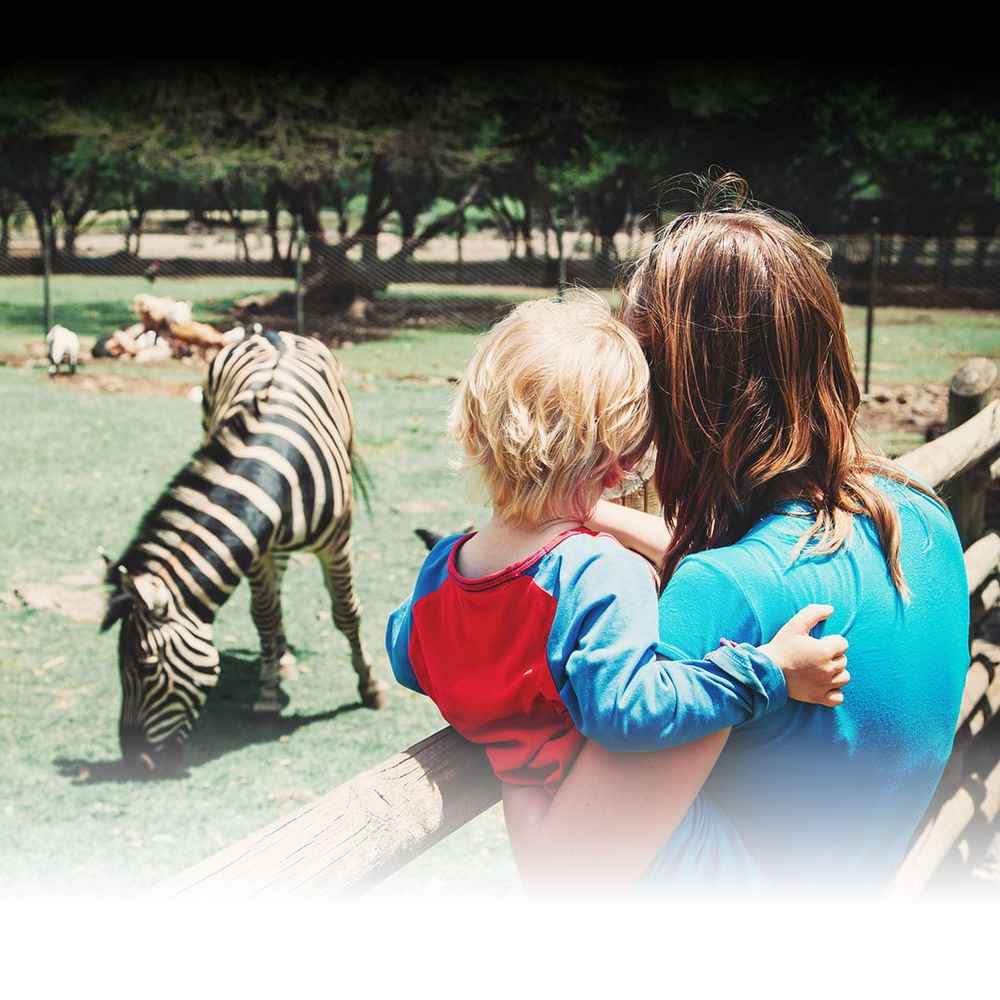 National Zoo Awareness Day | August 31