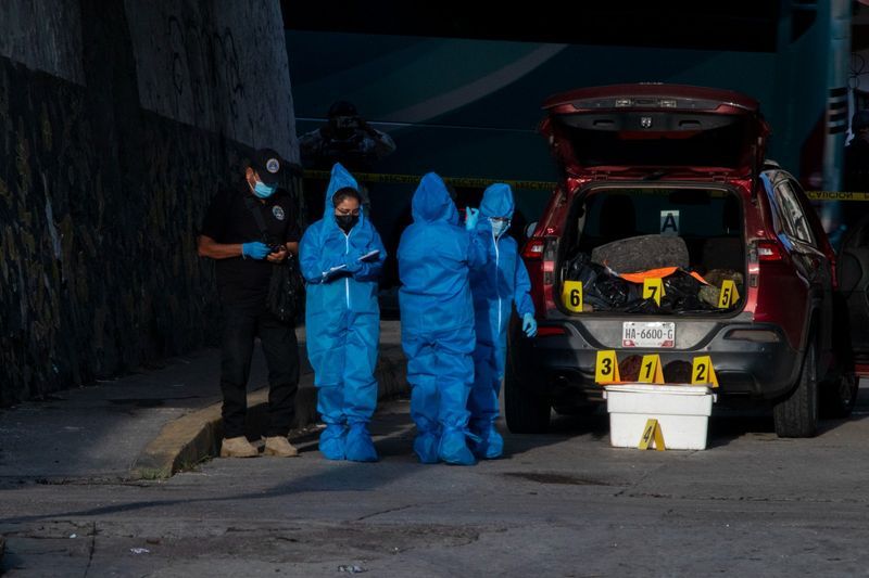 Apuntes sobre la autopsia forense | Physios