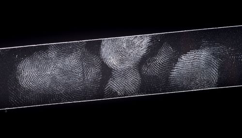 What is a fingerprint: Everything you never knew about your unique marks | Xperix