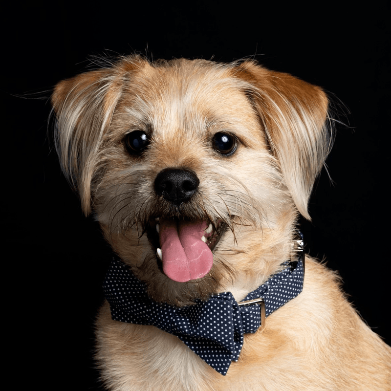 About Us | Learn To Be - Free Online Tutoring