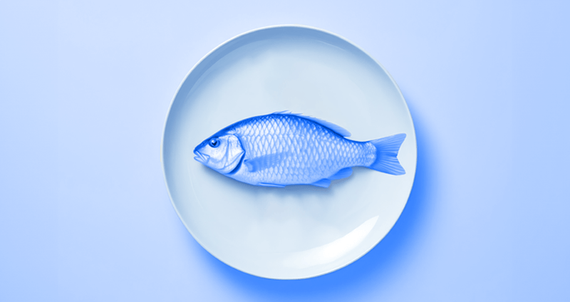 What Is the Fish Model? | TSIA