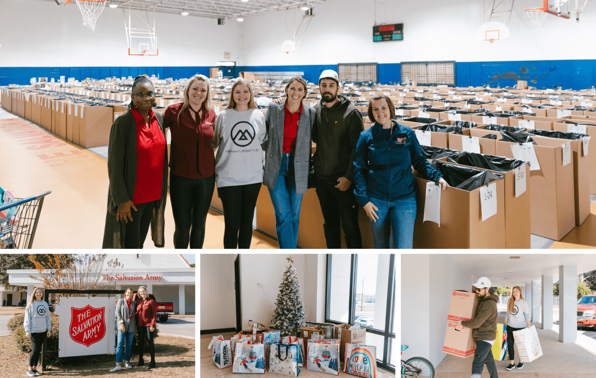 Meraki Solar | Power Your Home with Solar Energy