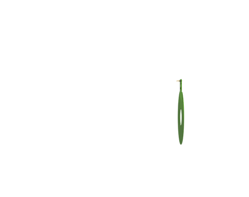 Technology - Chara Technologies