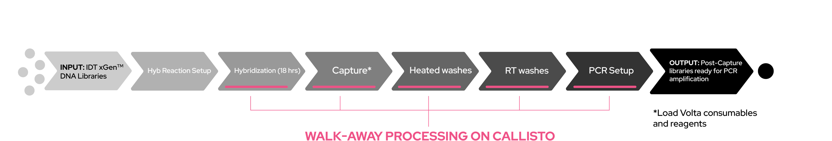 IDT xGen Hyb Capture