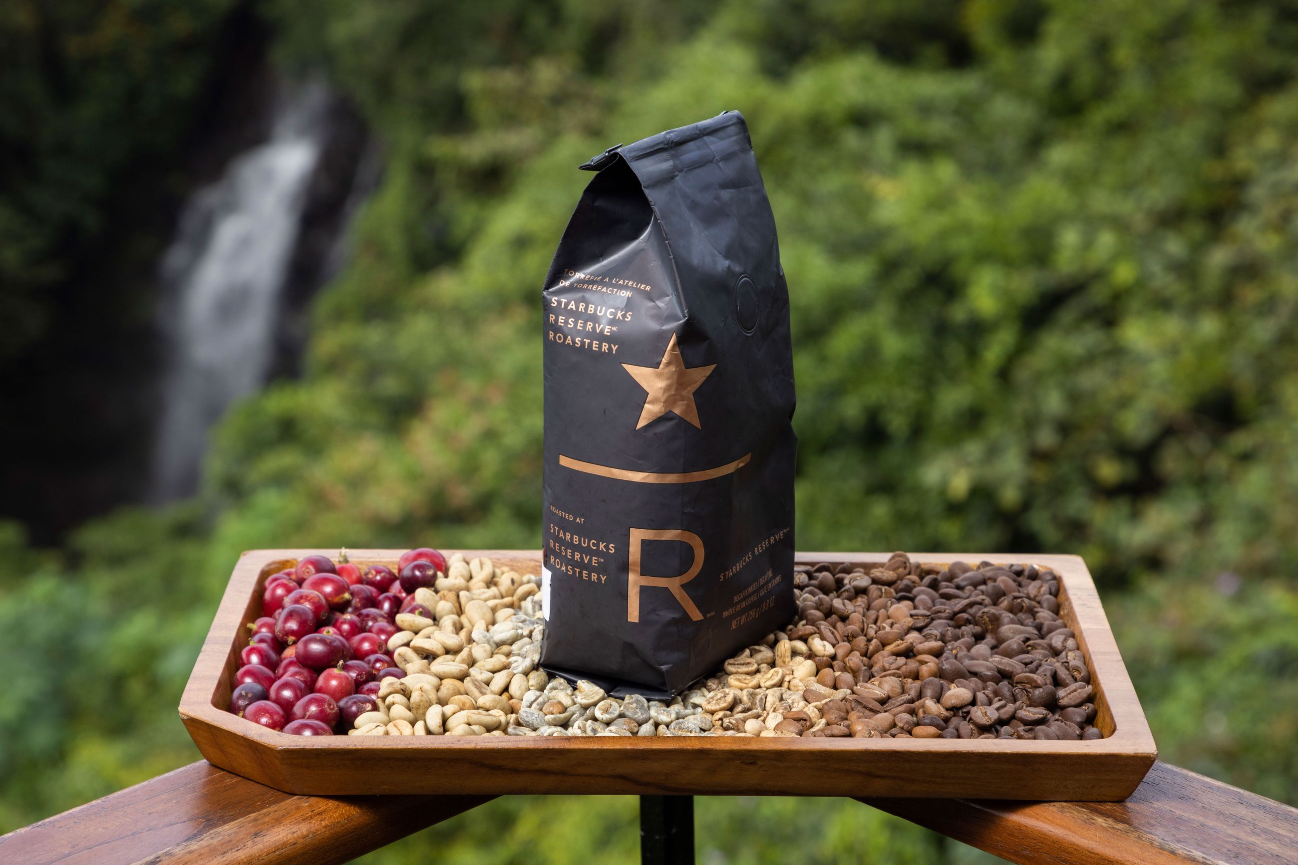 Tokyo Roastery | Starbucks Reserve®