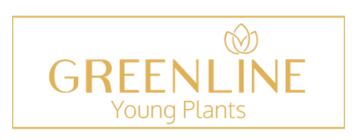 AeROC- Solar Remote Monitoring Platform