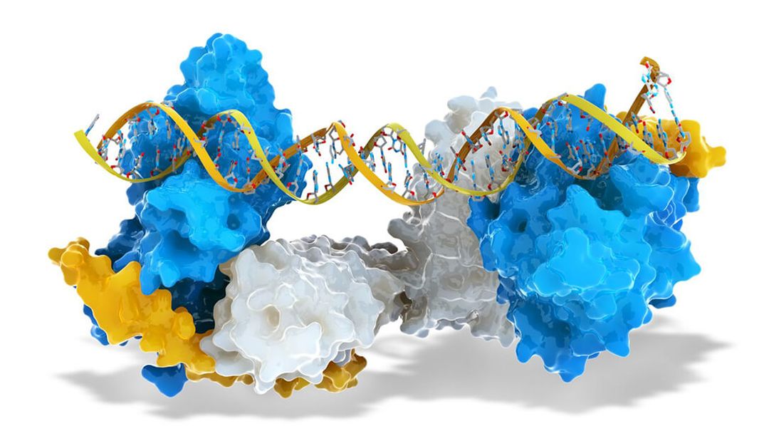Roybal Lab - Hacking Immune Cells To Expand Their Therapeutic Potential