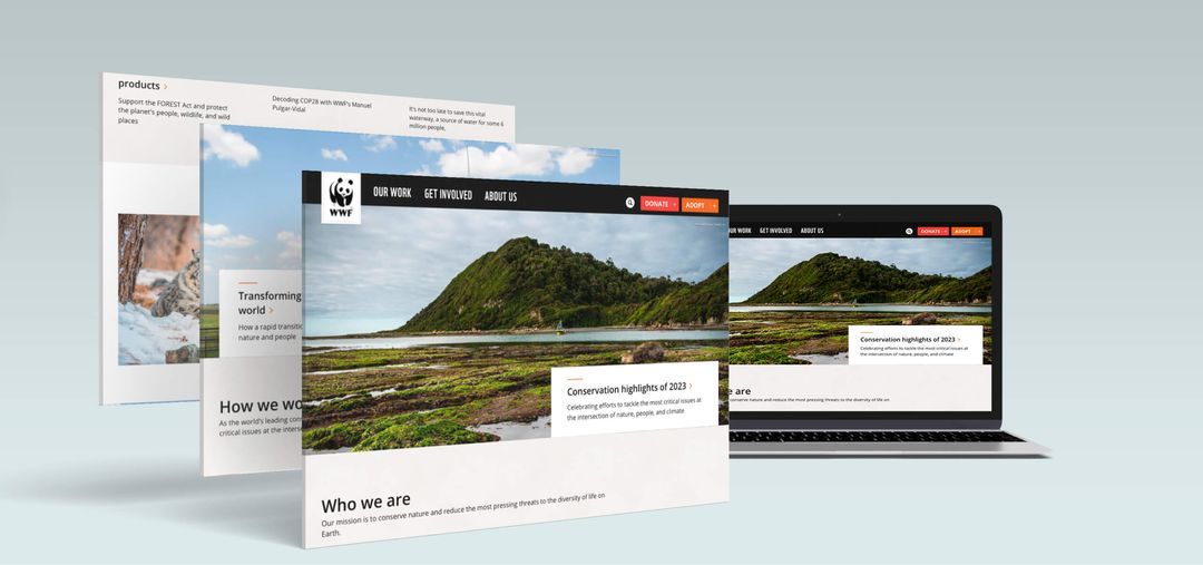 Top UX Websites: Best Practices Unveiled