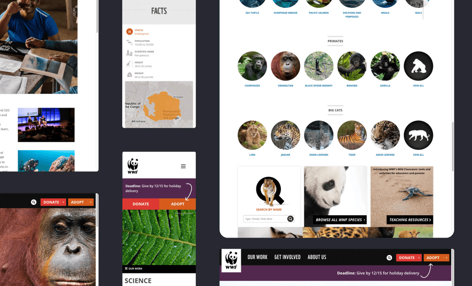 Examples of Bad Website Design and How to Do It Better | 2023