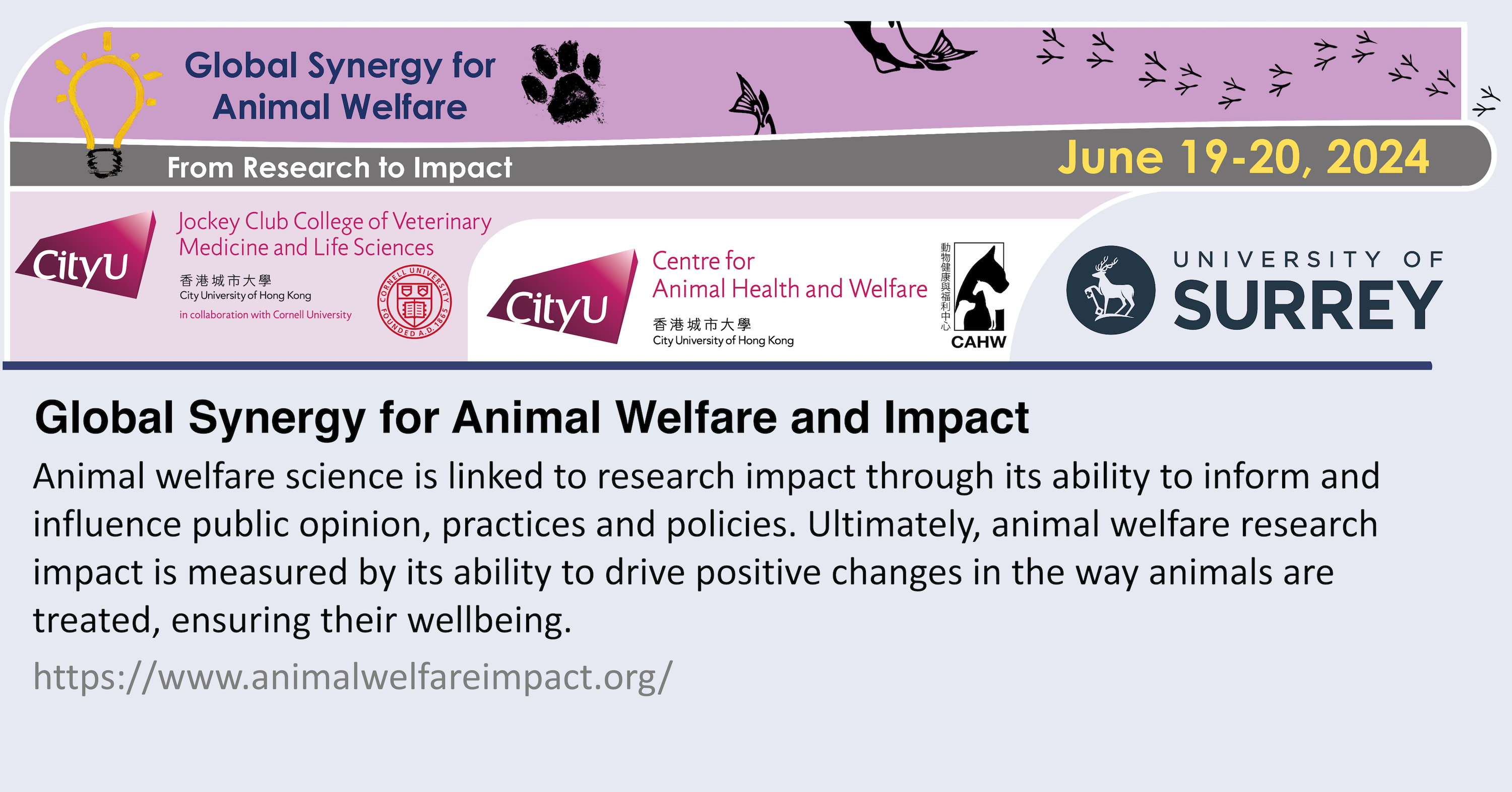 Global Synergy for Animal Welfare and Impact
