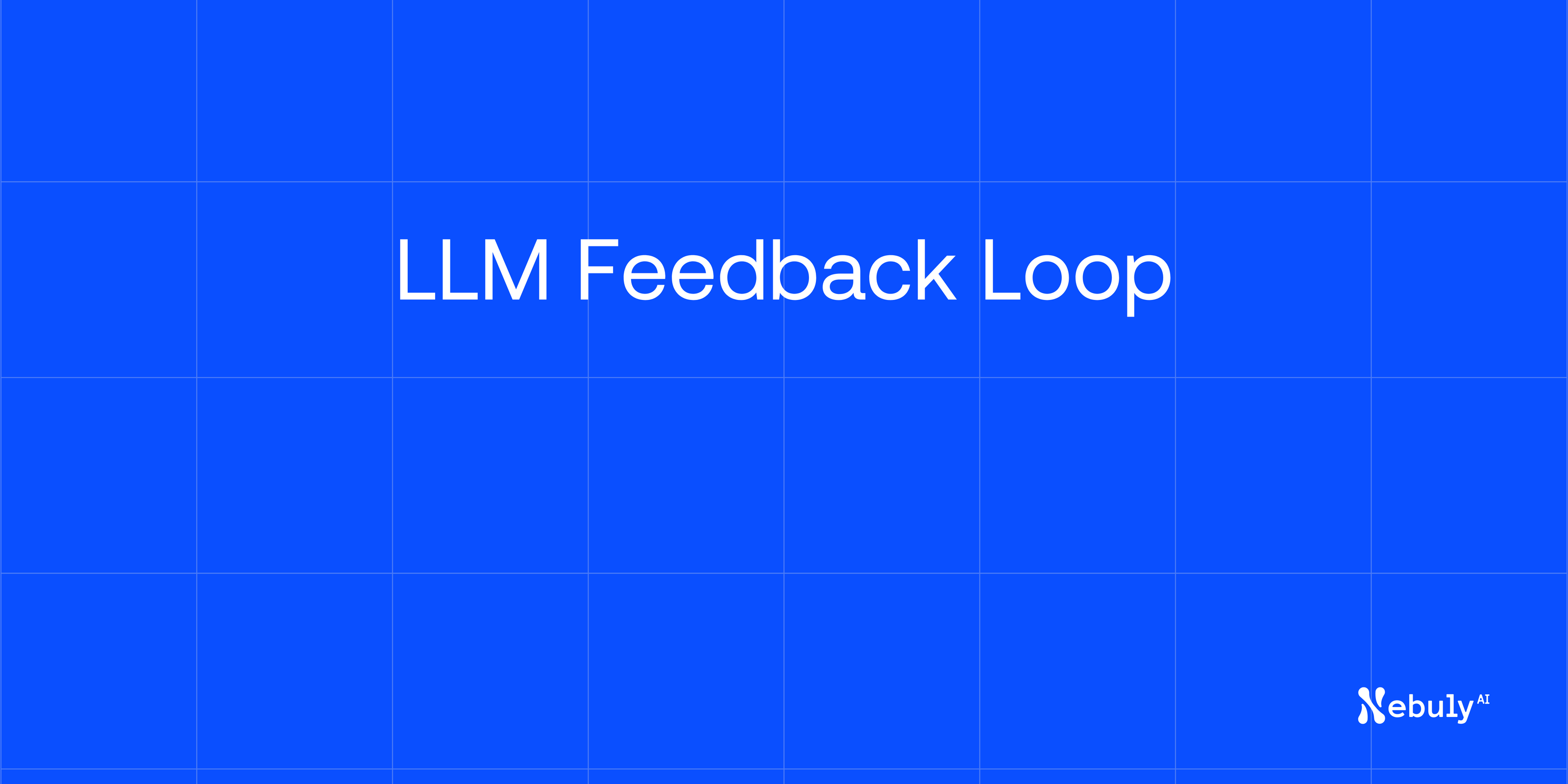 LLM Feedback Loop