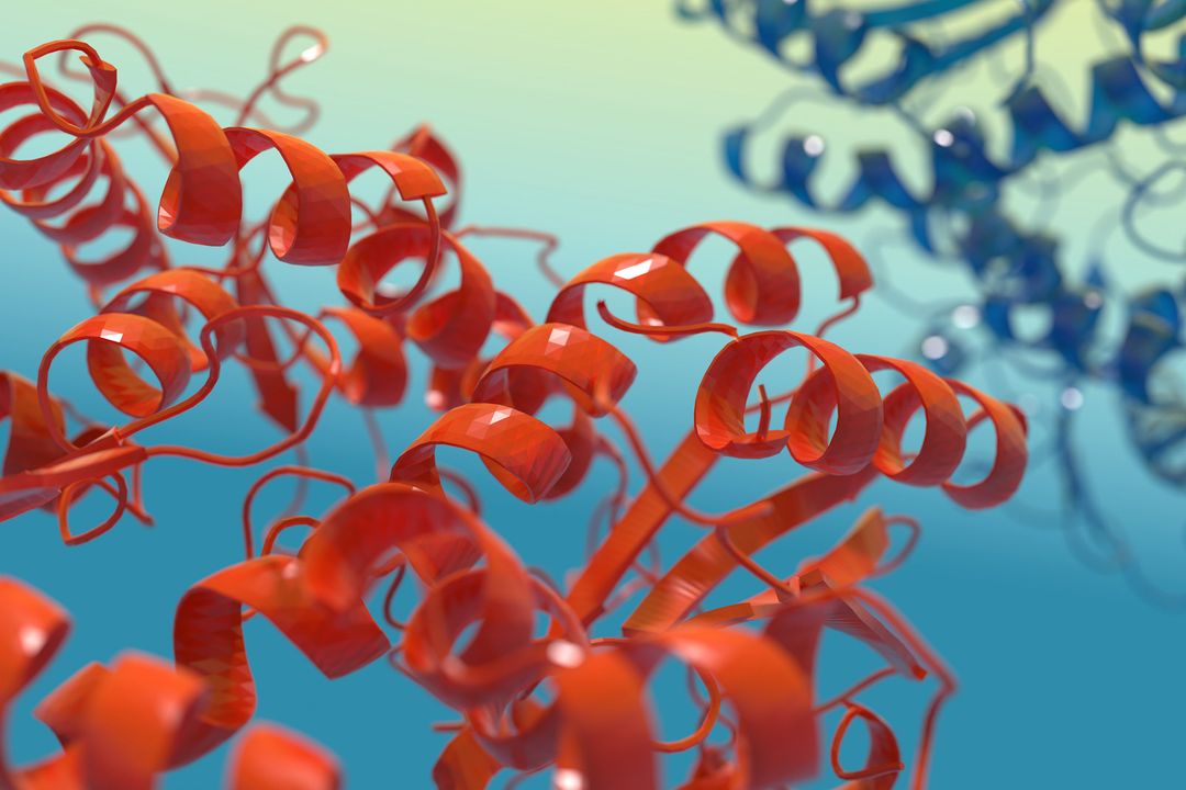 Structural Biology Services
