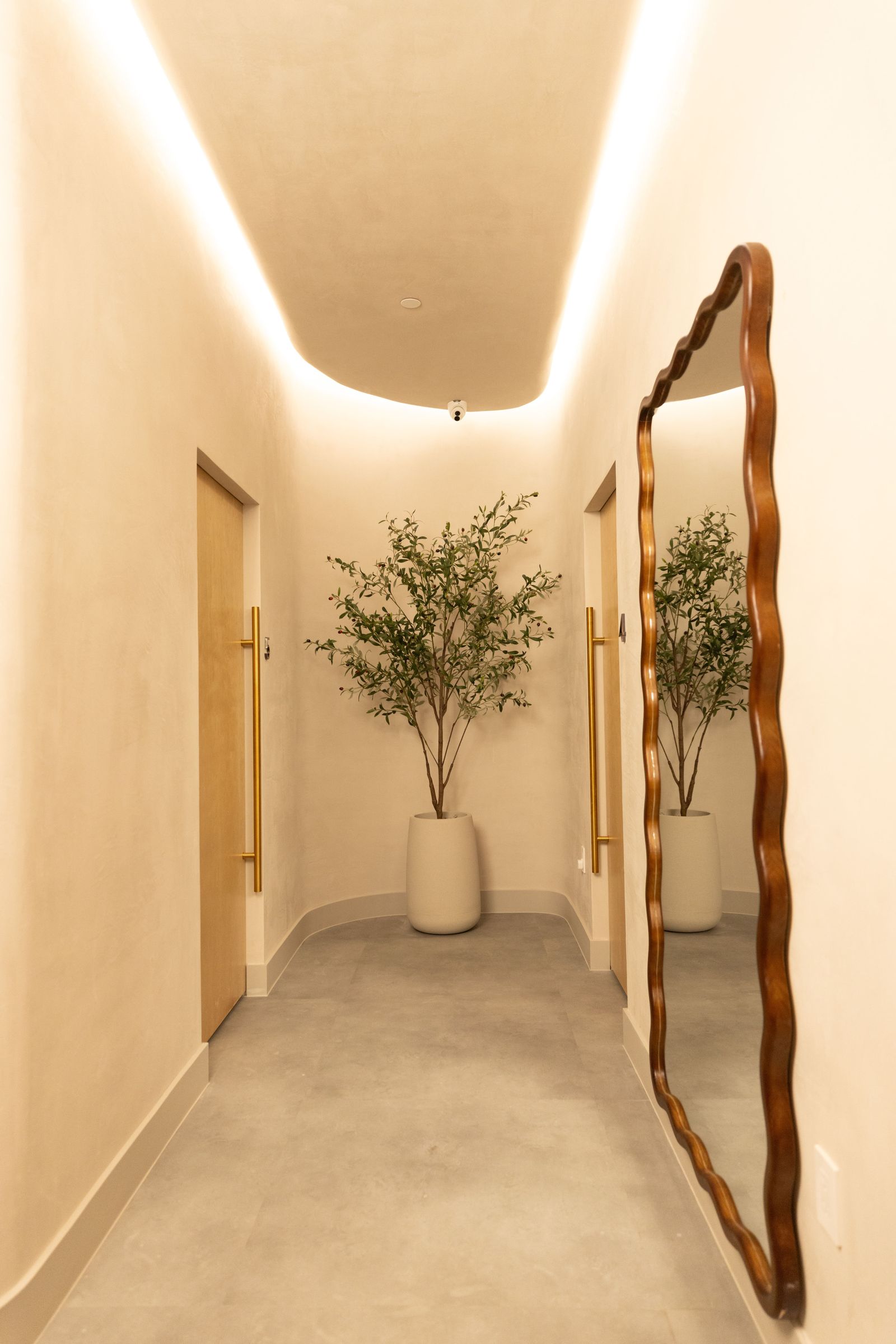 Explore Kalos & Muse in Richardson, TX