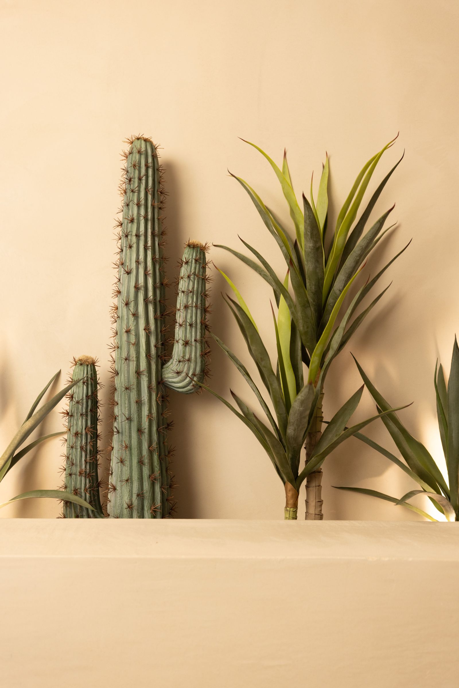 Explore Kalos & Muse in Richardson, TX