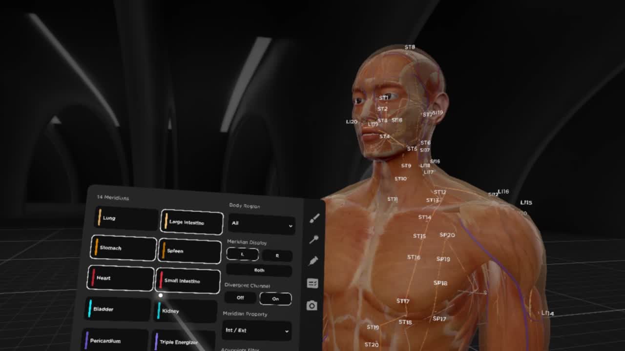 AcuMap VR Acupuncture Training | 361 Points & 14 Meridians