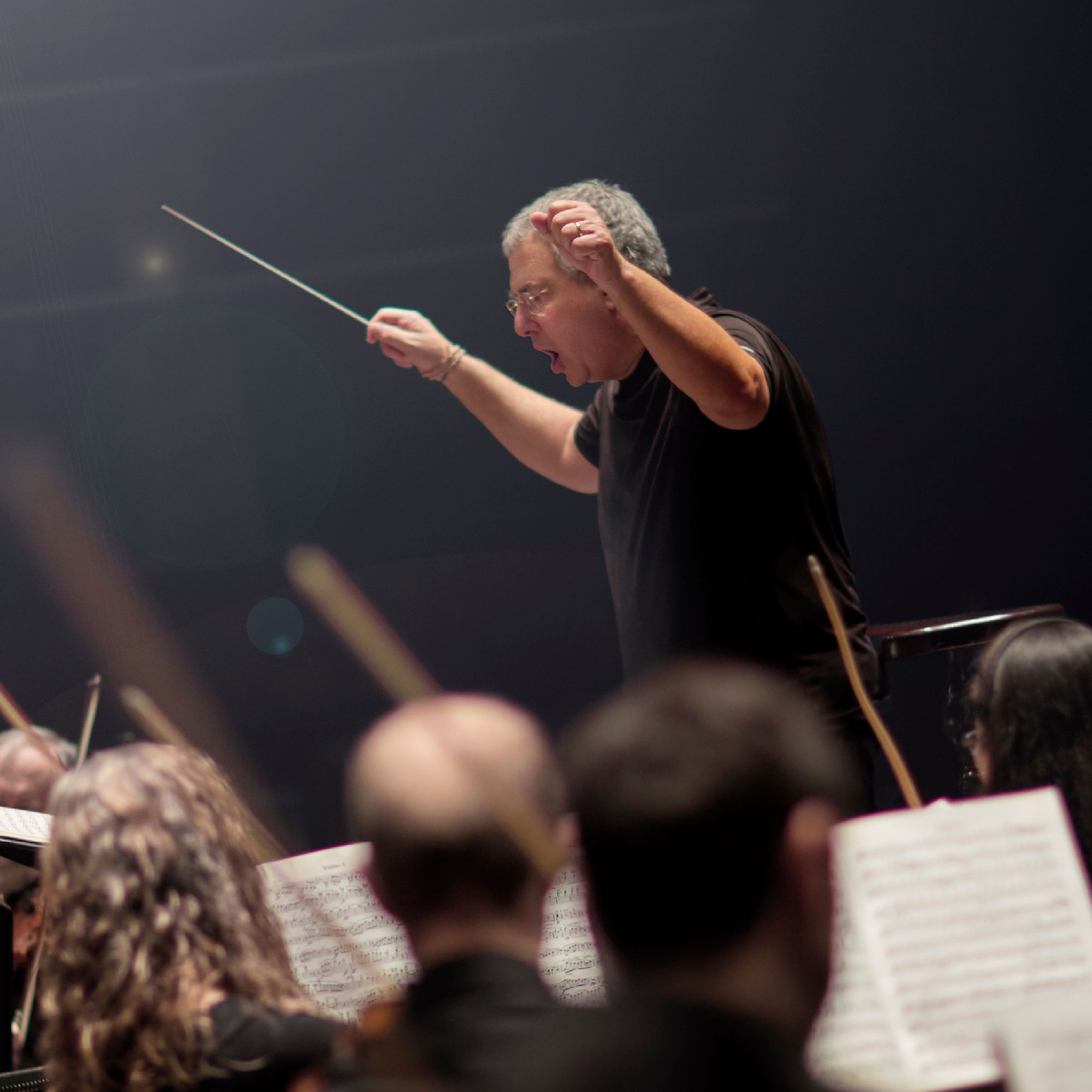 Paducah Symphony Orchestra