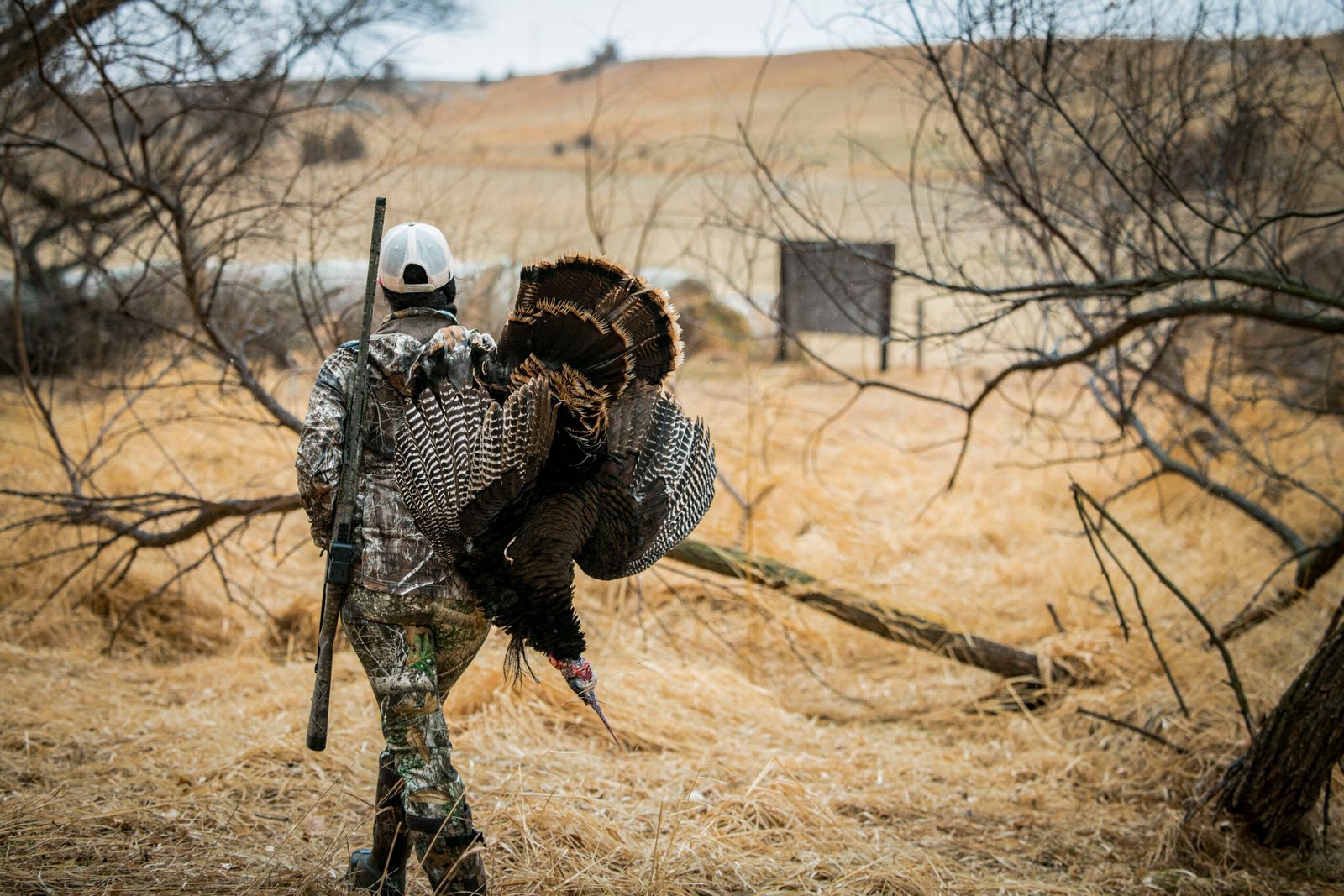 Midwest Turkey Hunting Guide | Fleet Farm