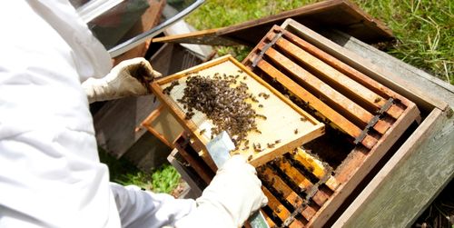 Setting Up A Beehive | Fleet Farm