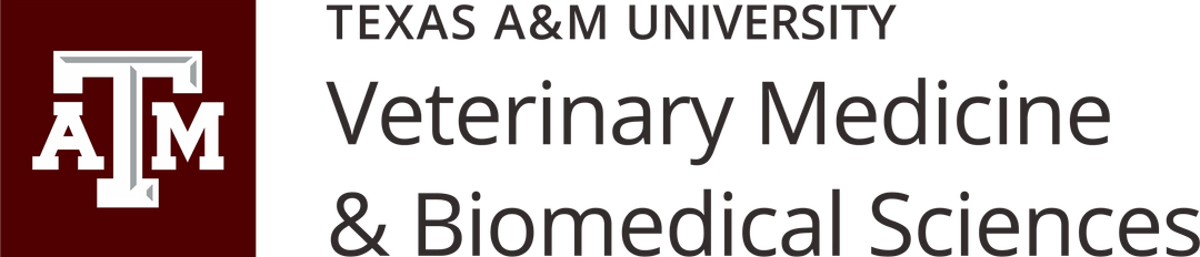 Vet AI Scribe | VetRec - AI Powered Veterinary Clinical Notes