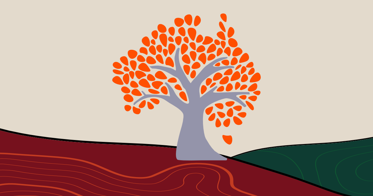 The Resilience Canopy | Get to Know the Canopy Communities