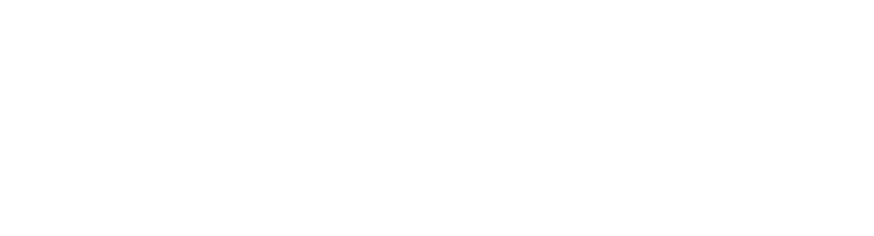 Shareholder Irrevocable Undertaking - Hugo Stephenson