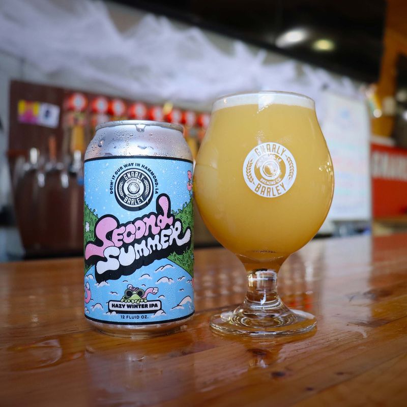 Jucifer IPA - Juicy Hazy IPA | Gnarly Barly Brewing Co.