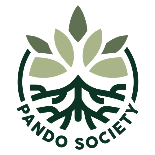 Pando Society | Elwood's hub for holistic wellness