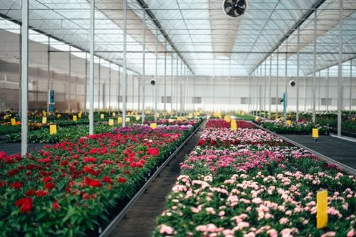 Plant Nursery Management Software | Mprise Agriware