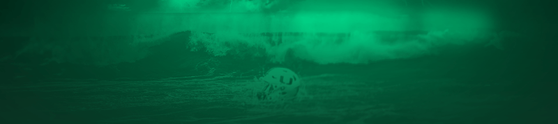 Join The Surge: Become A Canes Connection Member