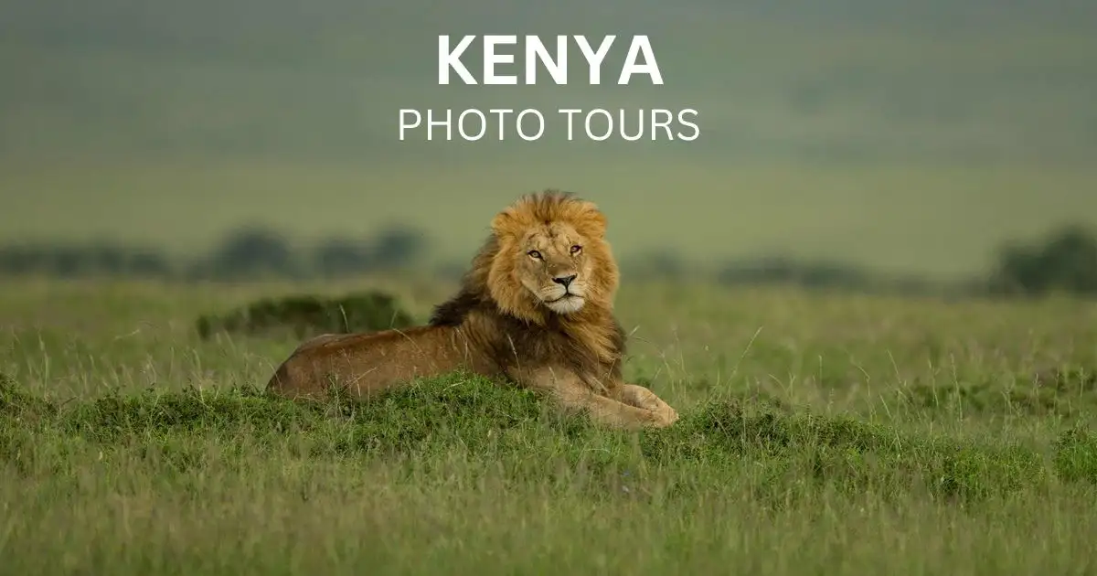 Kenya Photo Tours
