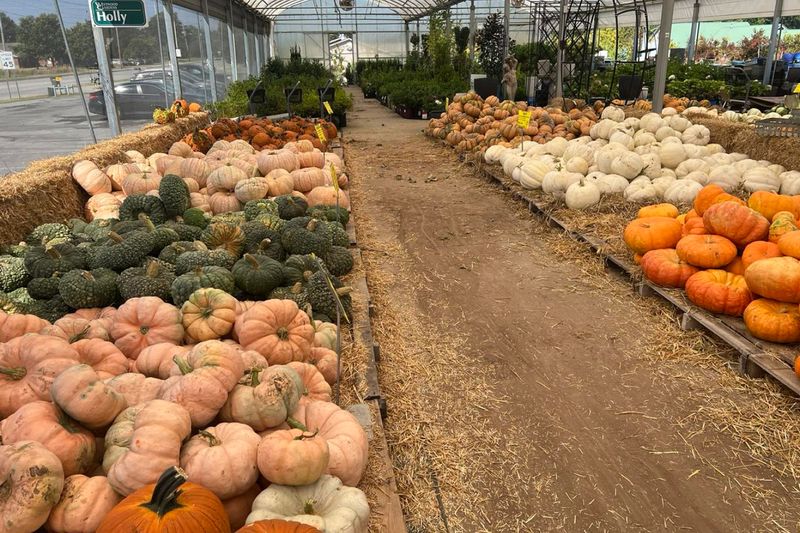 Our Plants - Westwood Gardens