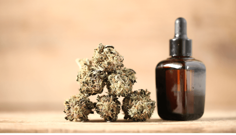 THC Oil Effects: Benefits, Risks, Dosage, and How It Works | Alternaleaf UK