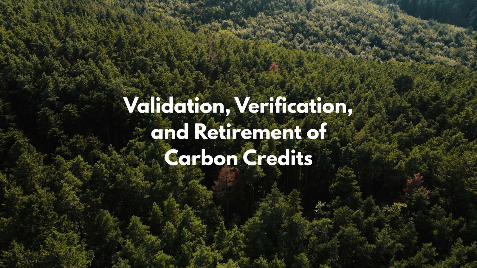 Understanding what is Validation, Verification and Retirement of Carbon ...