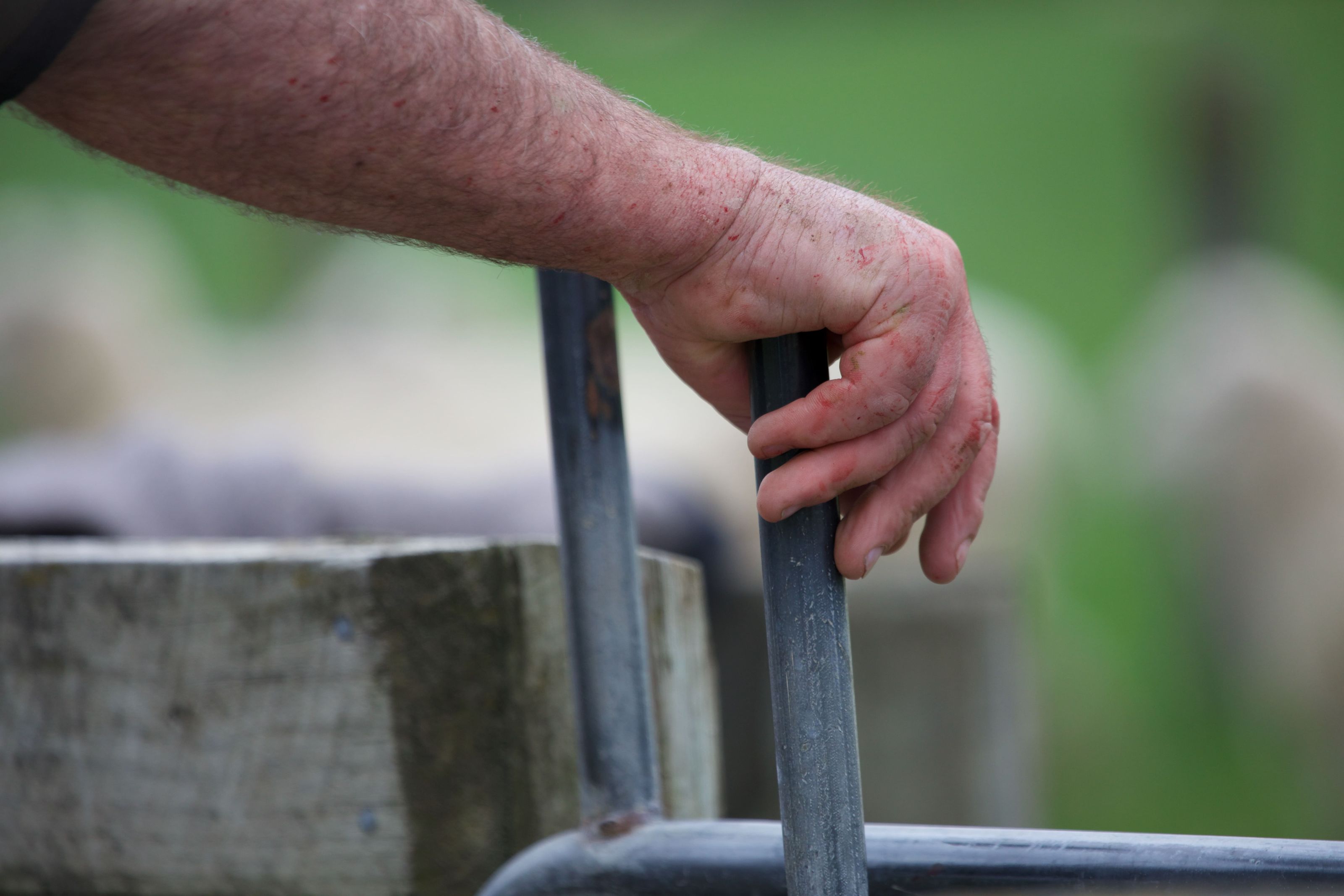 Getting started with Farm Focus