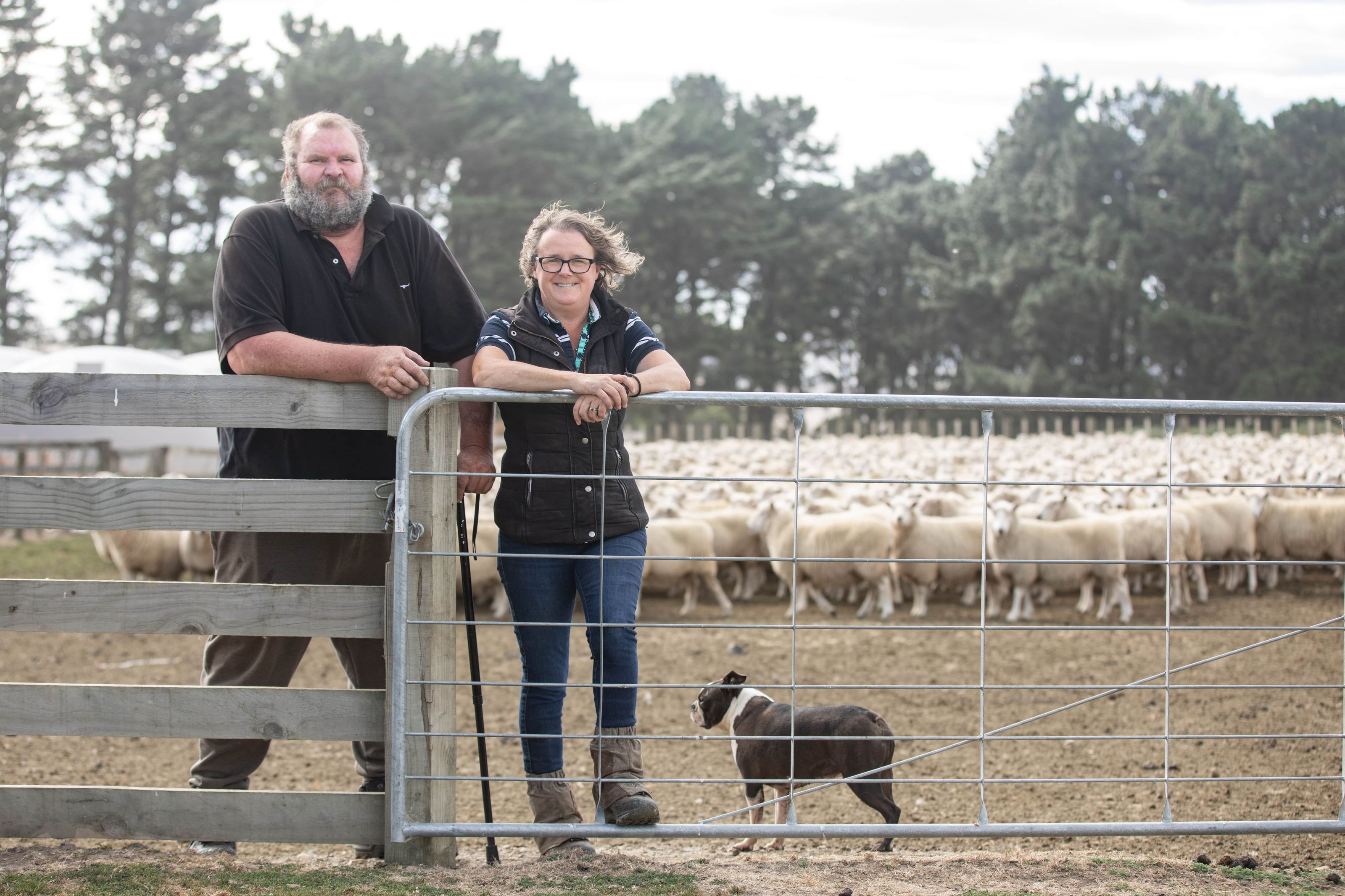 Farm Financial Software for NZ Farmers & Growers | Farm Focus