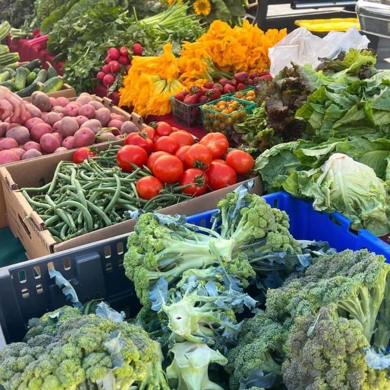 Agricultural Community Events Farmers' Markets | Sonoma & Marin County