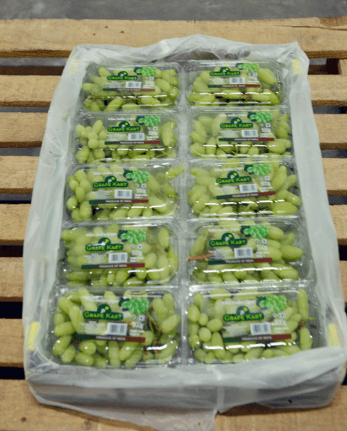 Sangle Agro