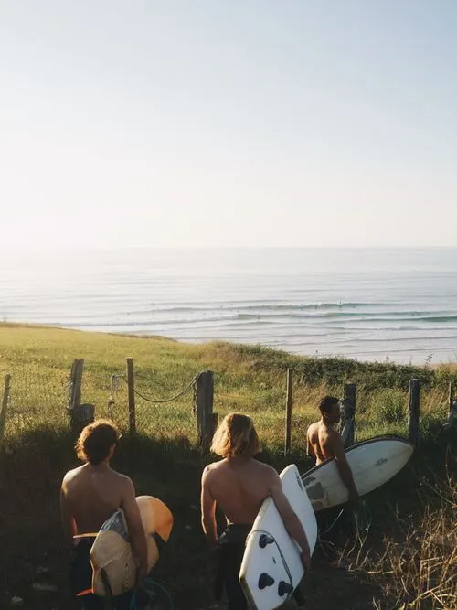 Careers | Amigos Surf Camp