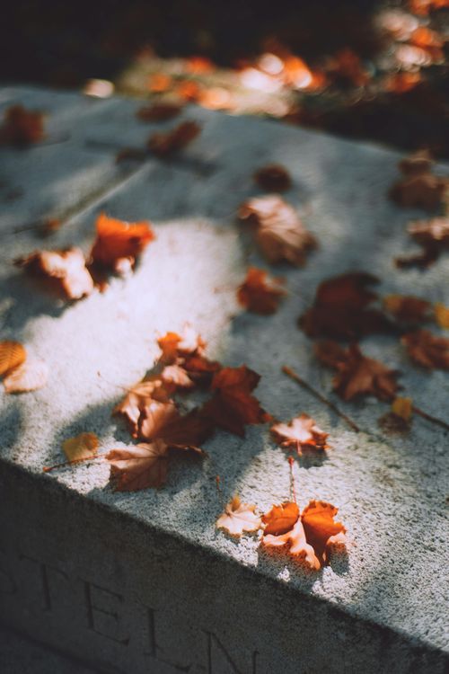 What is an Interment of Ashes? Easy Guide | Meadow Memorials