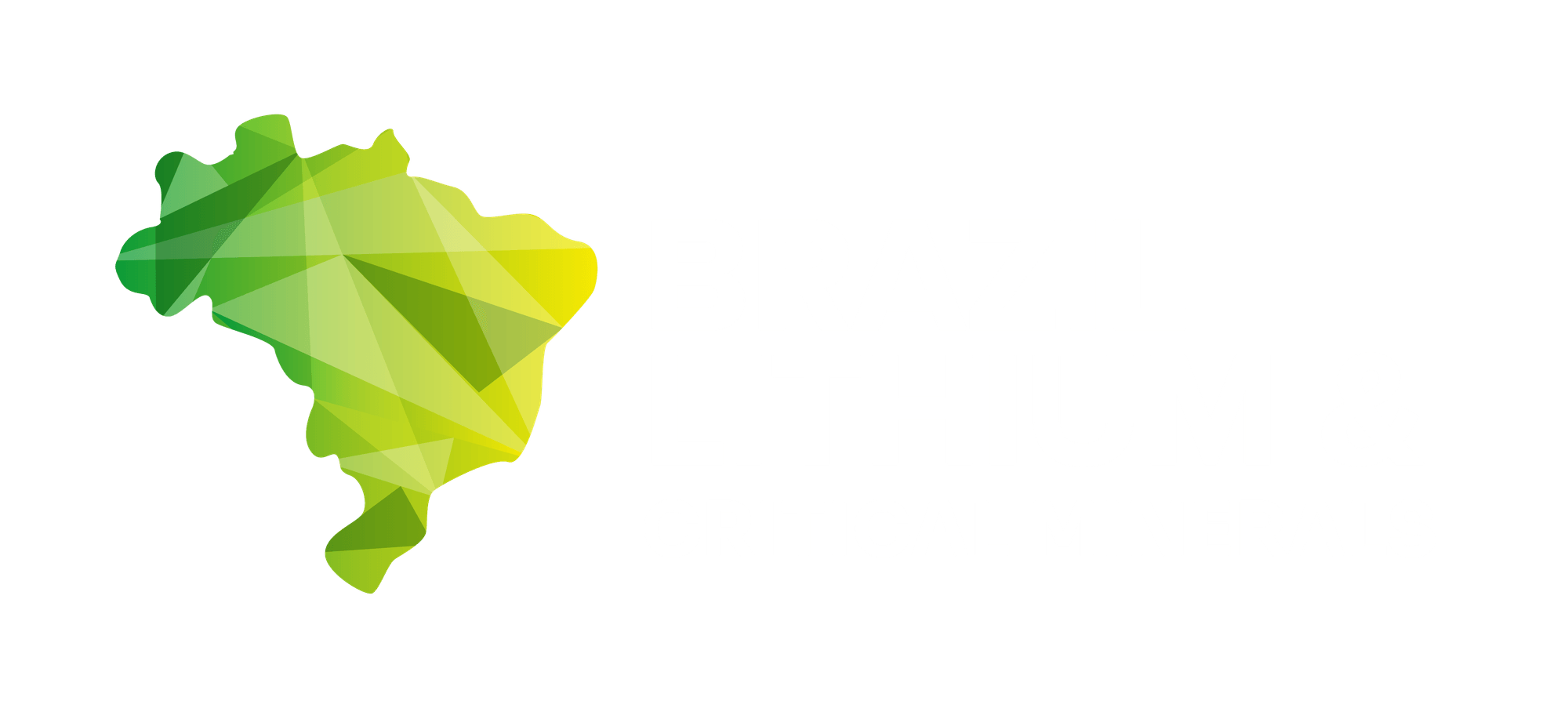Brazil Lithium & Critical Minerals Summit 2025