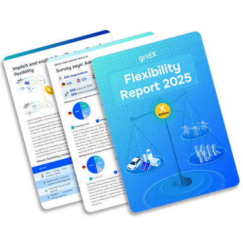 Flexibility trading on the EPEX SPOT market – gridX