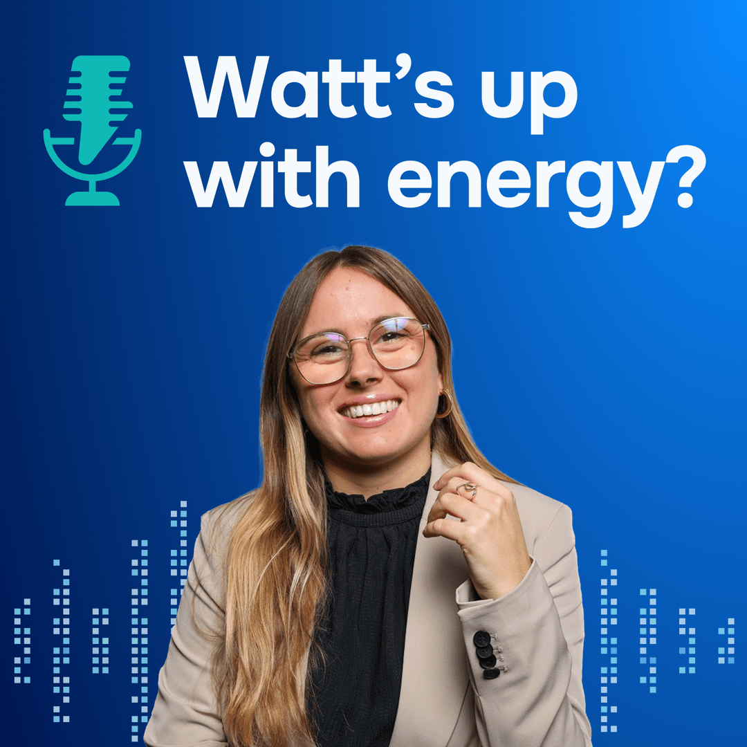 Europe energy rules 2026: MiSpeL, §14a and V2G | gridX