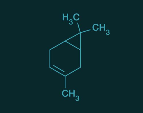 Delta 3 Carene - Lab Effects Terpene Glossary