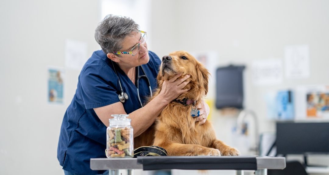 Vetnostics - veterinary laboratory & pathology service