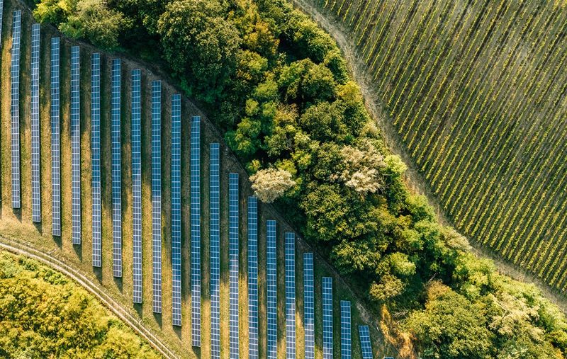 Our Group | Tessellation