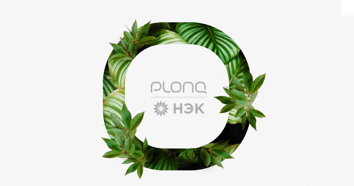 НЭК | Экопроект от Plonq
