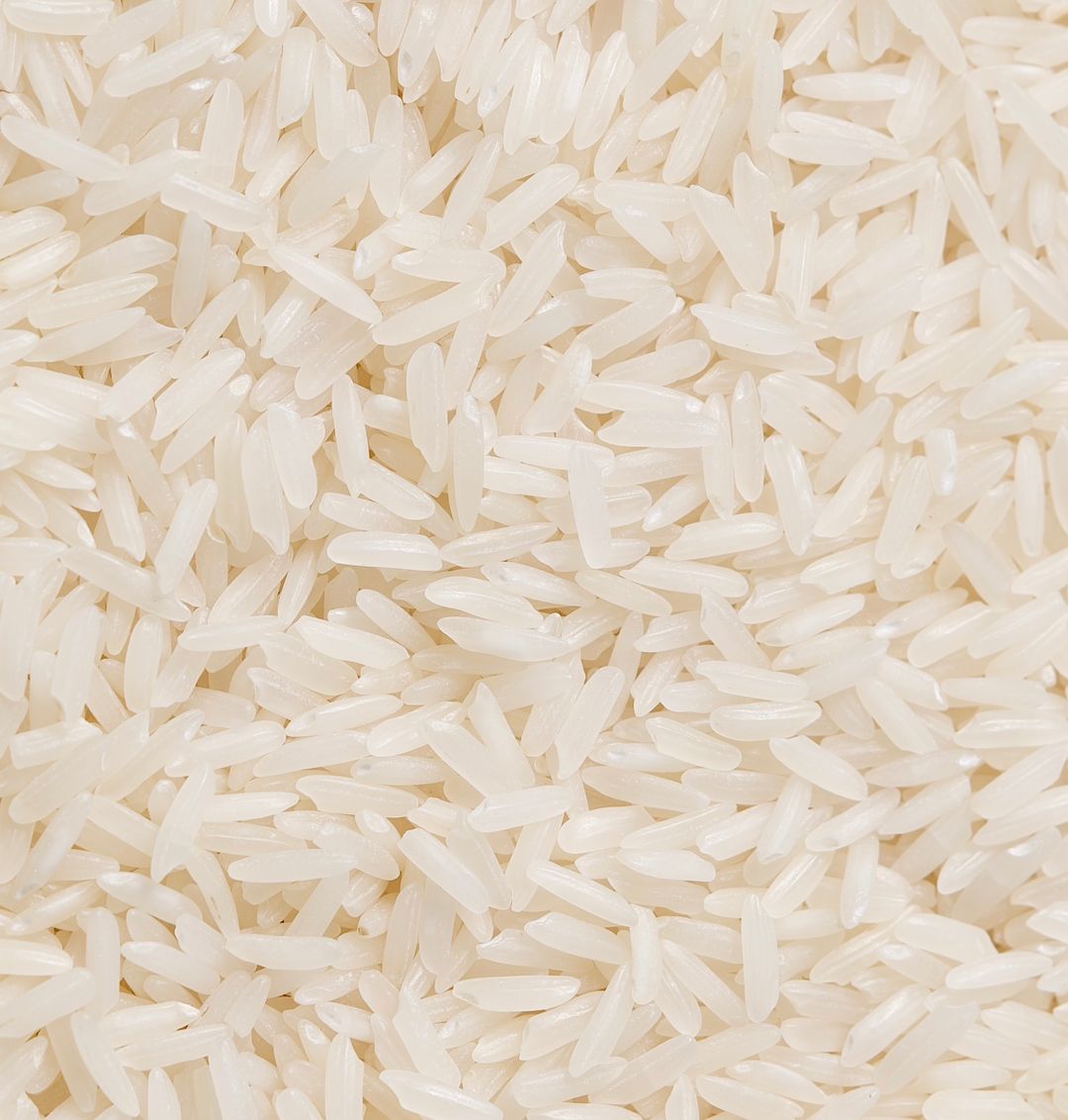 Asia Golden Rice