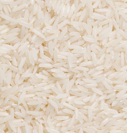 Asia Golden Rice