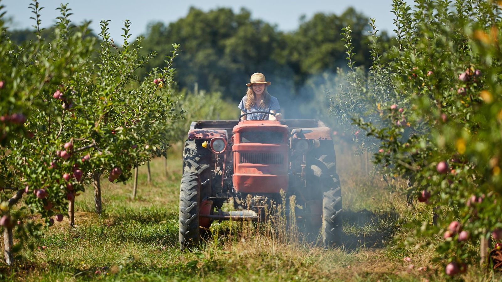 Farmhand | We help CSA farmers earn more, and work less